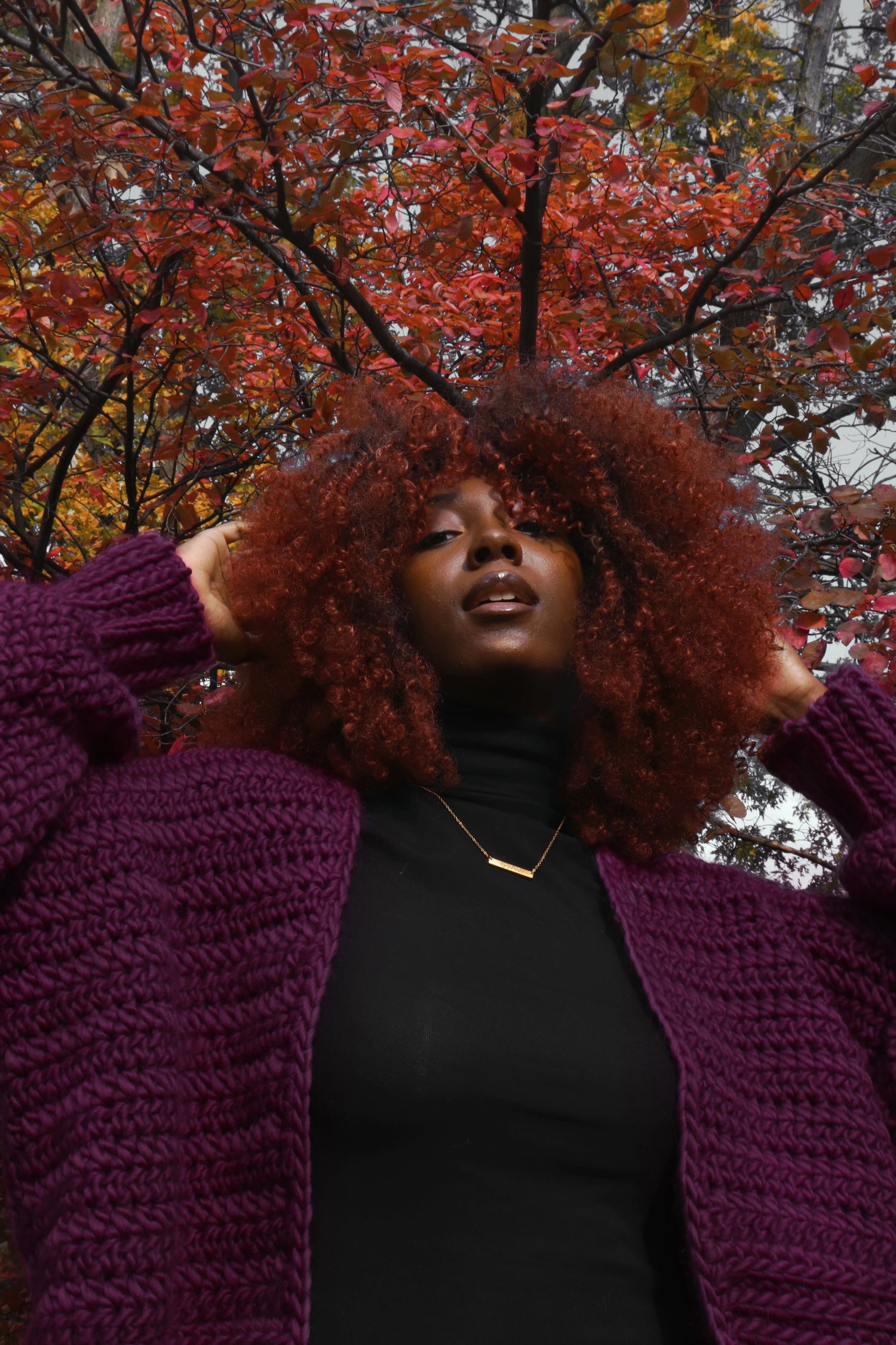 Crowned Collection – T'kor Couture