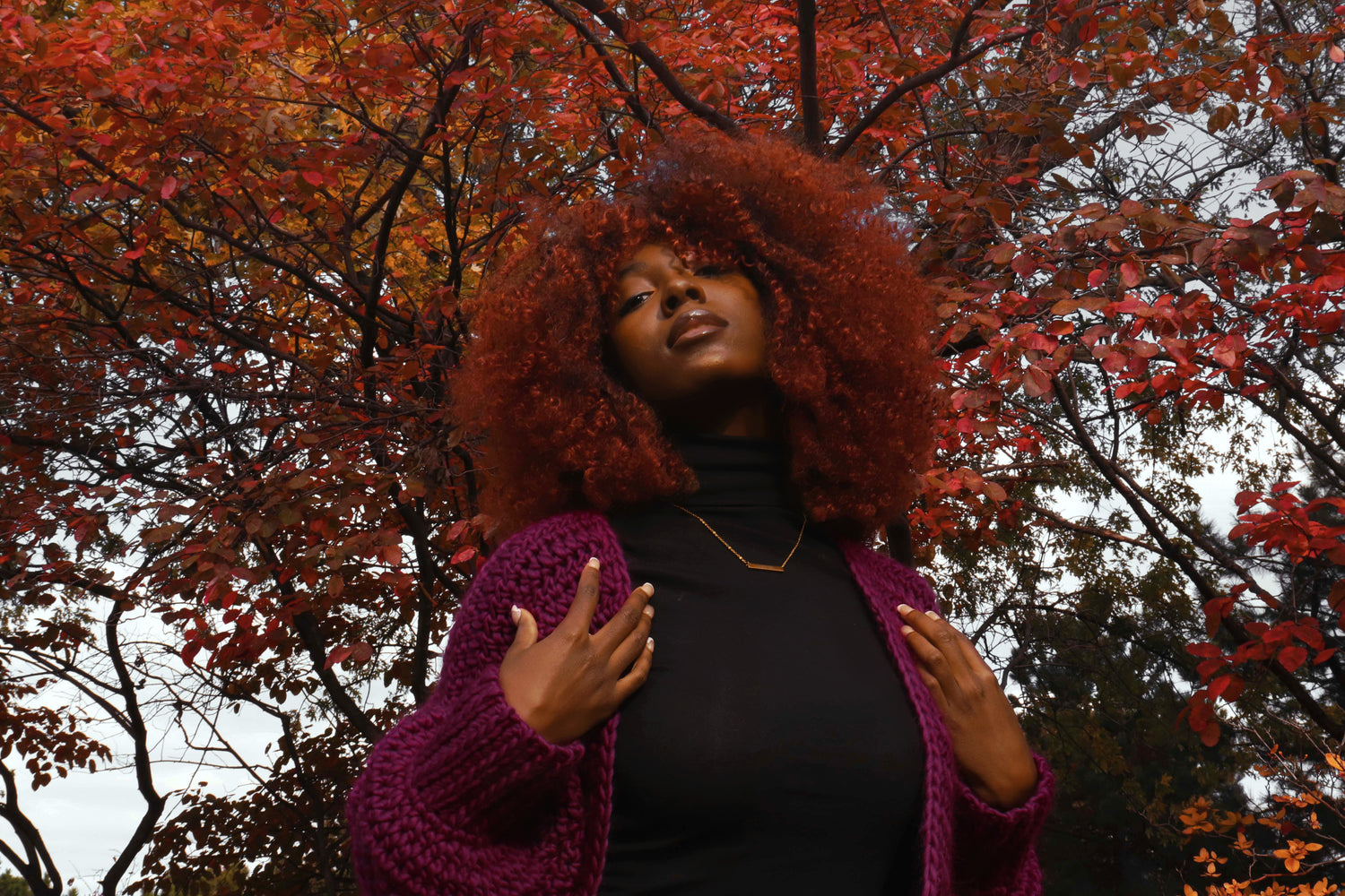 Crowned Collection – T'kor Couture